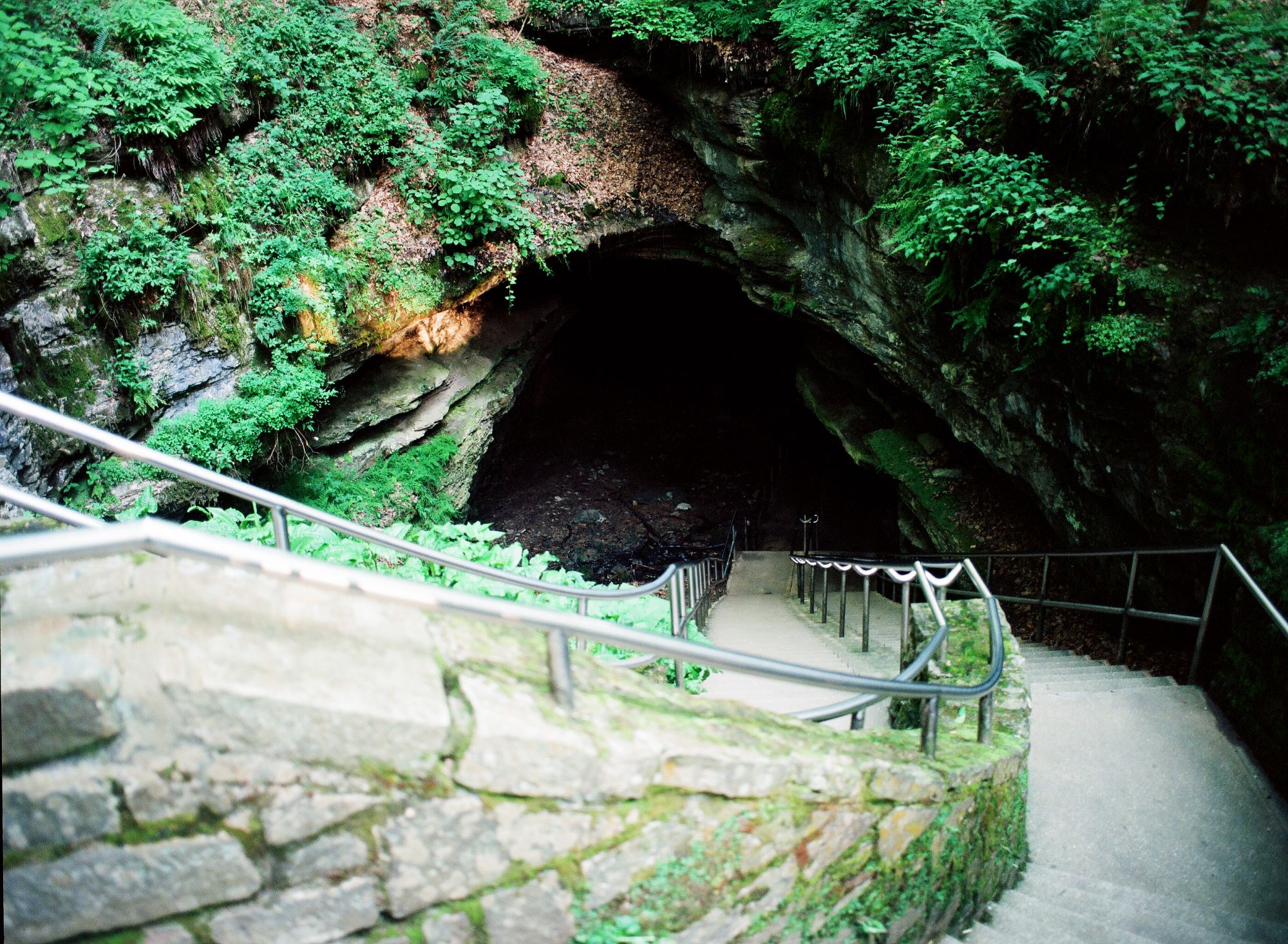 Virtual Roadtrip: Mammoth Cave National Park | Check-It-Off Travel ...